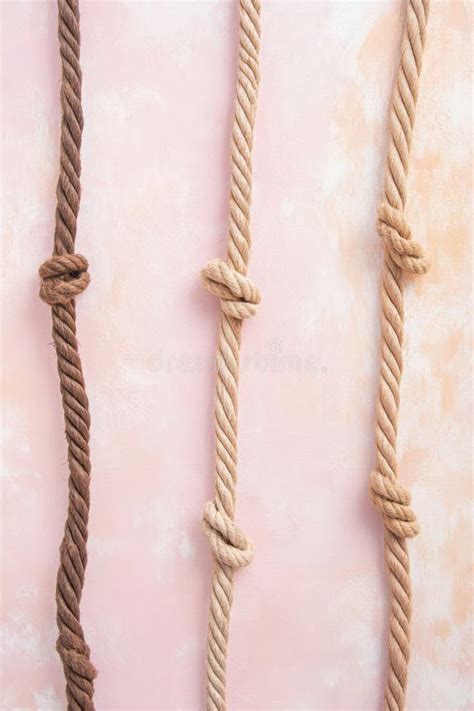 Exploring The Intricate Dynamics Of Human Connections Through Artful Representations Of Tangled