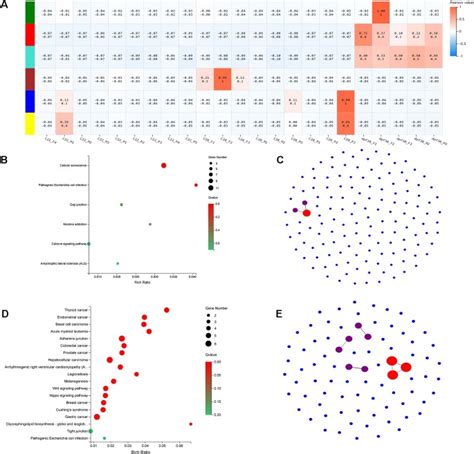 Transcriptome Of Gonads From High Temperature Induced Sex Reversal During Sex Determination And