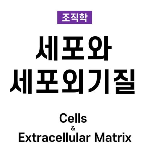 세포와 기질 구성 요소 Cells And Extracellular Matrix Components 의학당