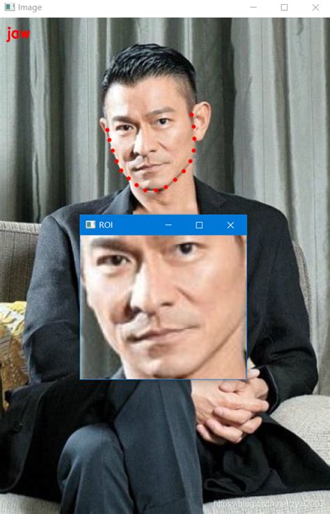 Opencv项目实战（9）——人脸五官检测path To Facial Landmark Predictor Csdn博客