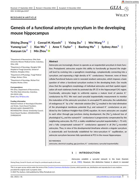 Pdf Genesis Of A Functional Astrocyte Syncytium In The Developing Mouse Hippocampus
