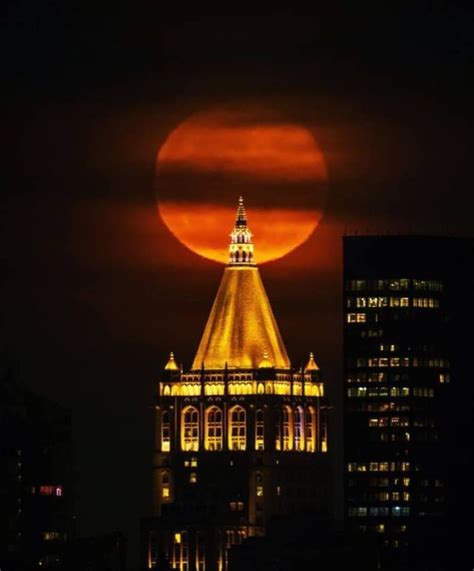 Clo Michael Molinaro 155 Comments