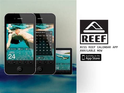 Miss Reef Calendar Application Surfer