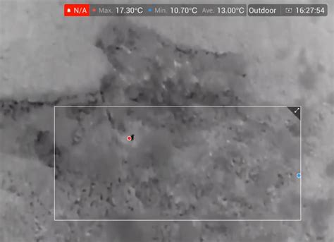 Thermal Infrared Pest Monitoring And Detection Using Drones Interpine