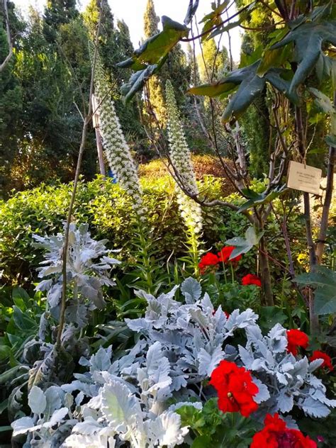 Primavera En La Almunya Del Sur Jardín Botánico La Almunya Del Sur