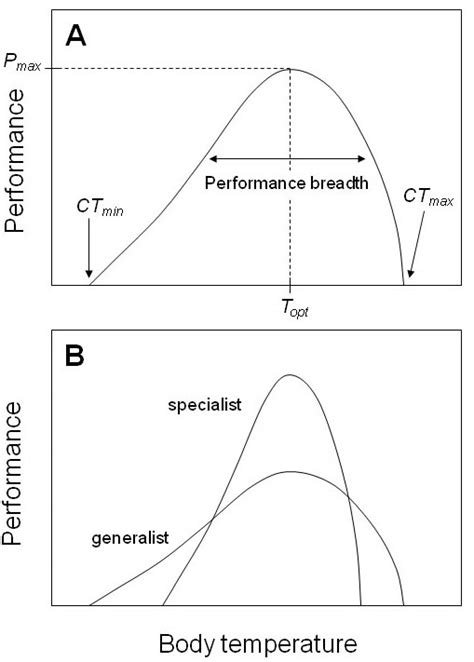 A This Hypothetical Performance Curve Shows The Stereotypical Optimum Download Scientific