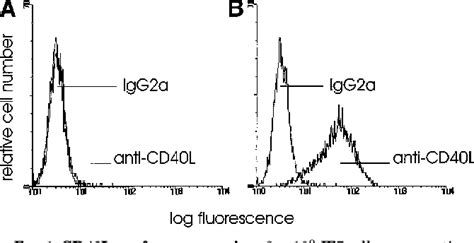 Figure 1 From Human Native Soluble Cd40l Is A Biologically Active
