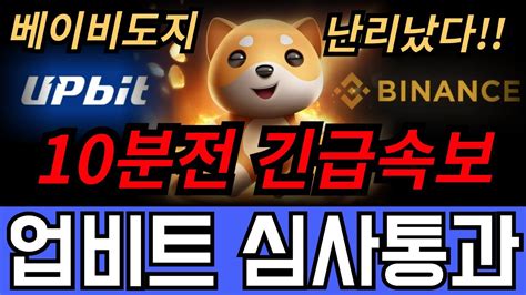 베이비도지코인 전망 속보 베이비도지 업비트 심사통과가 되었습니다 역사적인 순간은 10월 1일 입니다 머스크 페페