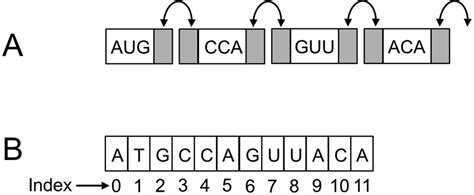 Linked Lists And Arrays A Double Linked Lists Contain Data Download Scientific Diagram