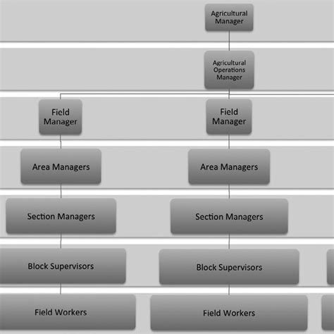 Field Hierarchy Structure Not To Scale Source Of Data Author