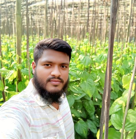 Al Amin Hossain Dipu