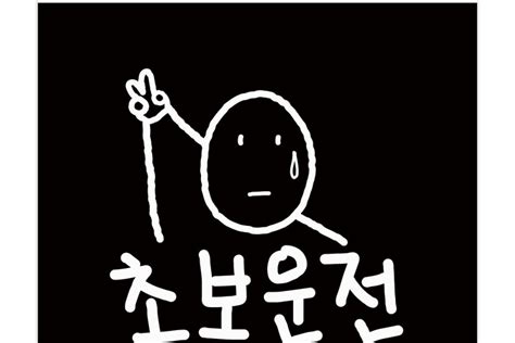익스테리어용품 초보운전 차량 반사 스티커 밤에 잘 보이는 방수 차량용 야간 운전연수 오늘의집 쇼핑