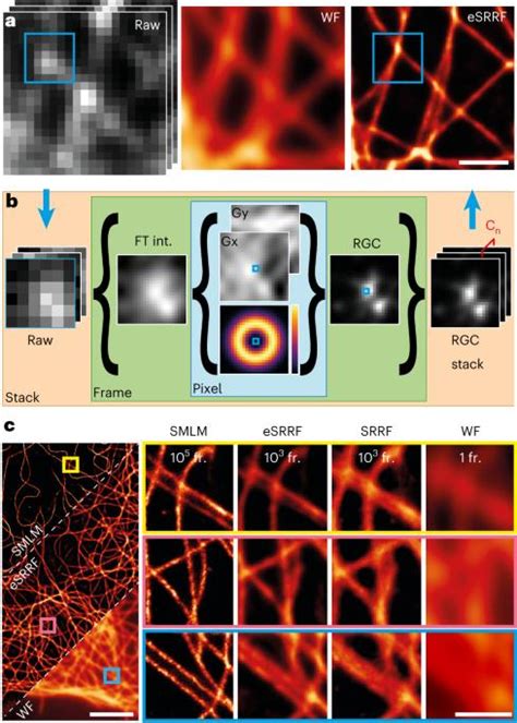 Ken Seidenman On Linkedin High Fidelity 3d Live Cell Nanoscopy Through