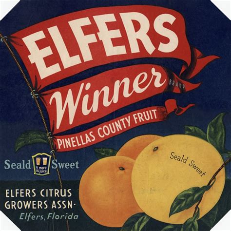 Elfers Florida Once A Big Place In The Citrus World