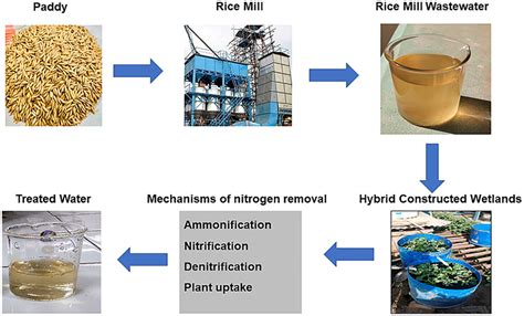 Performance Evaluation Of Hybrid Constructed Wetlands For Nitrogen
