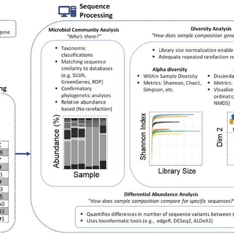 Schematic Of General Workflow In Amplicon Sequencing Of Samples