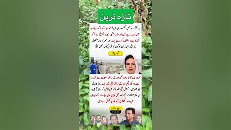 Sameena Pasha X Habib Akram Shorts Imrankhan Youtube