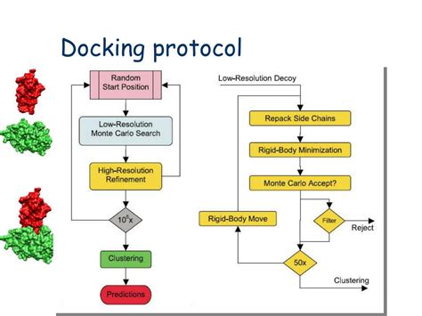 Ppt Two Examples Of Docking Algorithms Powerpoint Presentation Free