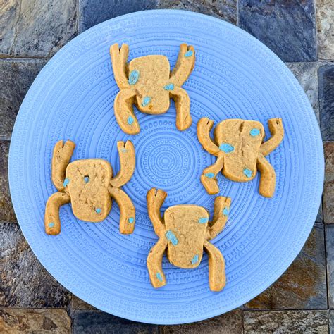 Rocky Cookies Inspired By Project Hail Mary Kiersten Eats
