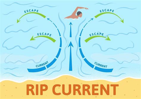 Understanding The Riptide Diagram A Visual Representation Of