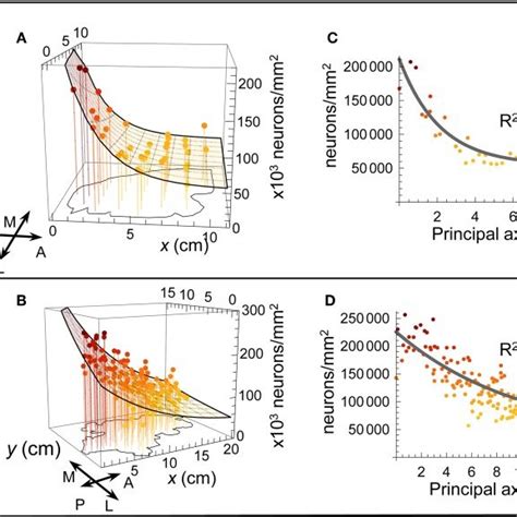 Parameters For Curve Fitting Of Neuron Density And Neurons Per Unit Download Table