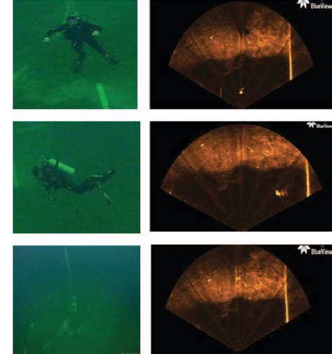 Figure 1 From Underwater Drowning People Detection Based On Bottleneck