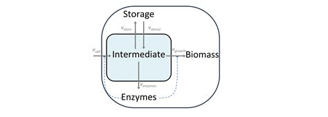 Mincell 2 — Cfba Python Documentation