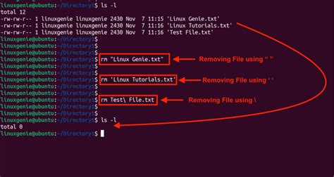 How To Delete A File In Linux Ubuntu Terminal Linux Genie
