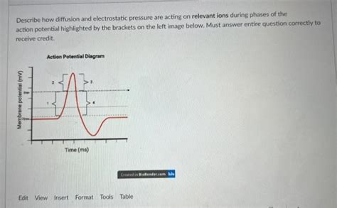 Solved Describe How Diffusion And Electrostatic Pressure Are