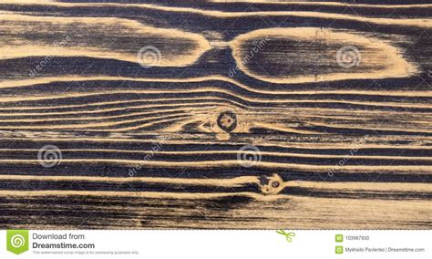 Sample Tree Texture Background Royalty Free Stock Image Cartoondealer Sample Tree Texture Background Royalty Free Stock Image Cartoondealer