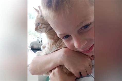 Без бинтов и маски Родители покусанного хаски мальчика выложили первое видео сына после