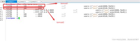 nginx tomcat负载均衡、动静分离 nginx tomcat的动静组合方式 csdn博客