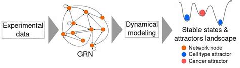 General Framework For Attractor Landscape Modelling Of A Cancerous