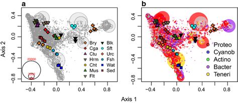 Ordination Showing The First Two Axes Of The PCO Analysis A Symbols Download Scientific