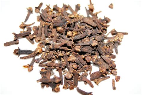 Cloves Learn About Nature