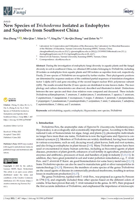 Molecular Identification Protocol For Trichoderma Ictt