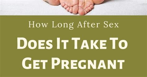 How Long After Sex Does It Take To Get Pregnant How Long Does It Take To Get Pregnant After Sex