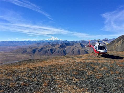 Temsco Helicopters Denali Helicopter Flightseeing And Alaskaorg