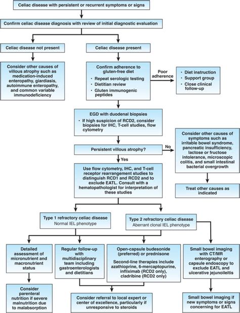 Management Of Refractory Celiac Disease