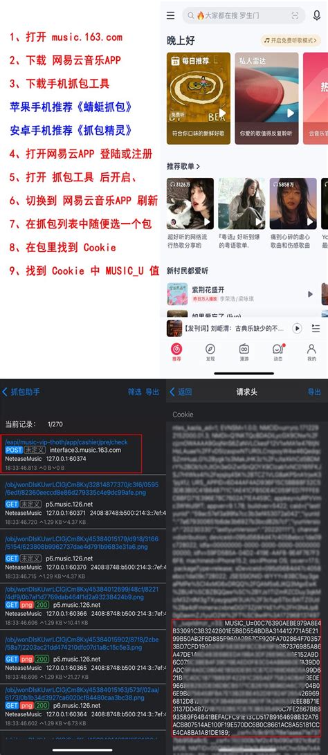 图床接口 网易云api接口介绍文档 领酷api接口大全