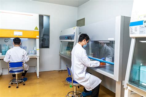 即用型 Western Blot 全流程试剂盒（wb试剂盒） 公司新闻 武汉恩玑生命科技有限公司