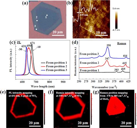 A A Typical Optical Image Of The Deliberately Grown Lateral Ws2 Mos2