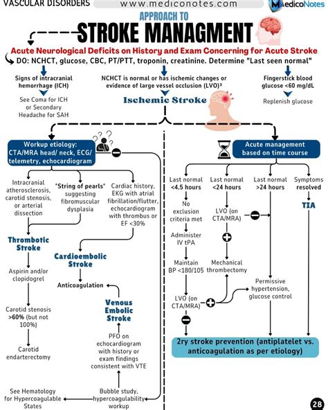 Sickle Cell Disease Pathogenesis Calgary Guide Artofit