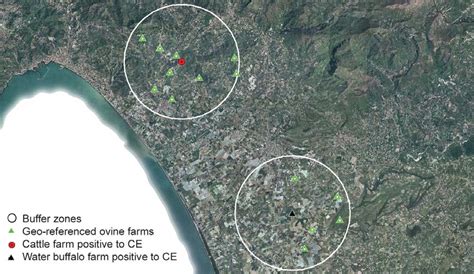 Example Of Km Radius Buffer Zones Constructed Around Cattle And Water Download Scientific
