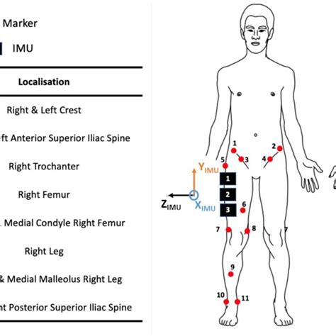 Pdf Imu Positioning Affects Range Of Motion Measurement During Squat