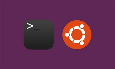 How To Clear Terminal On Ubuntu Easily Softtuts