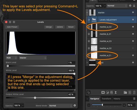 Merging An Adjustment Selects Another Layer Archive 25 24 23