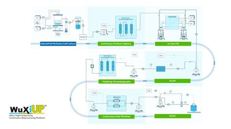 Wuxi Biologics Successfully Implemented A Fully Integrated Continuous