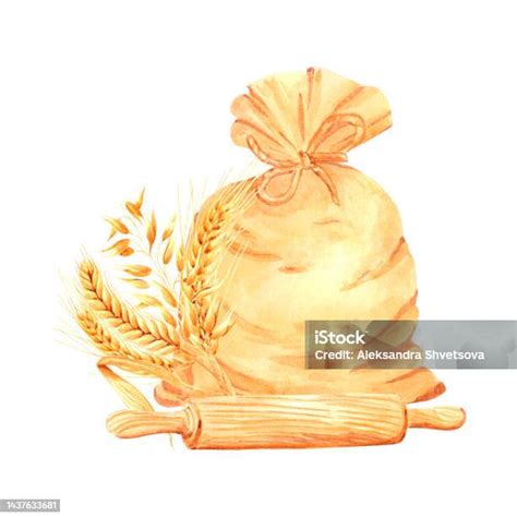흰색 배경에 손으로 그린 수채화 하버스트 구성 밀 스파이크 스크랩북 디자인 타이포그래피 포스터 레이블 배너 0명에 대한 스톡 벡터 아트 및 기타 이미지 Istock