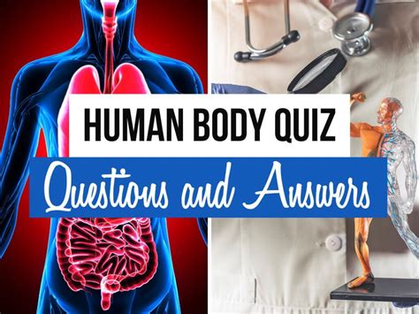 50 Human Body Quiz Questions And Answers Quiz Trivia Games